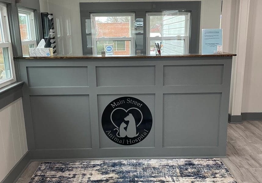 About Us - Main Street Animal Hospital